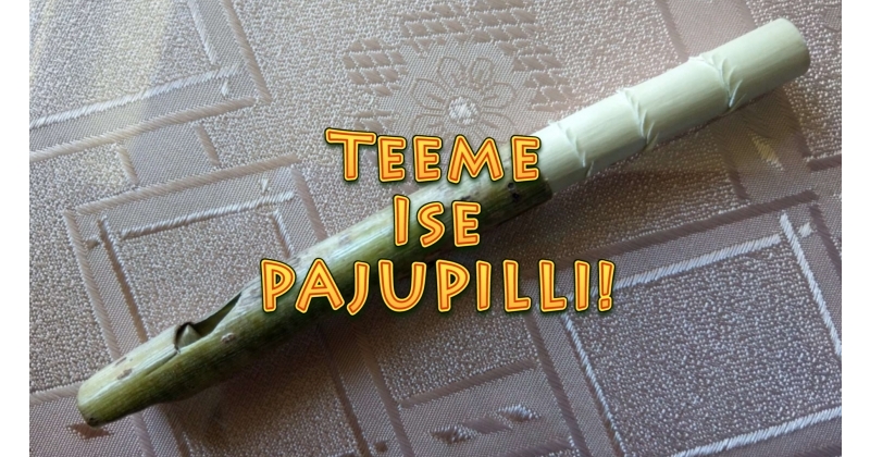 Pajupill - õpeta lapsed pajupilli tegema!
